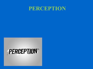 Perception | PPT