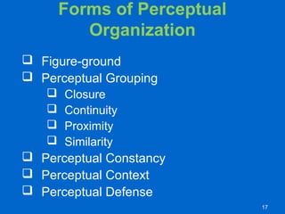 Perception | PPT