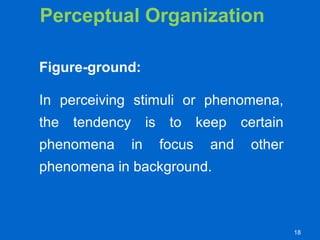 Perception | PPT