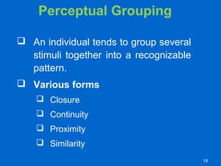 Perception | PPT