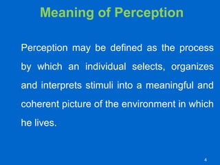 Perception | PPT