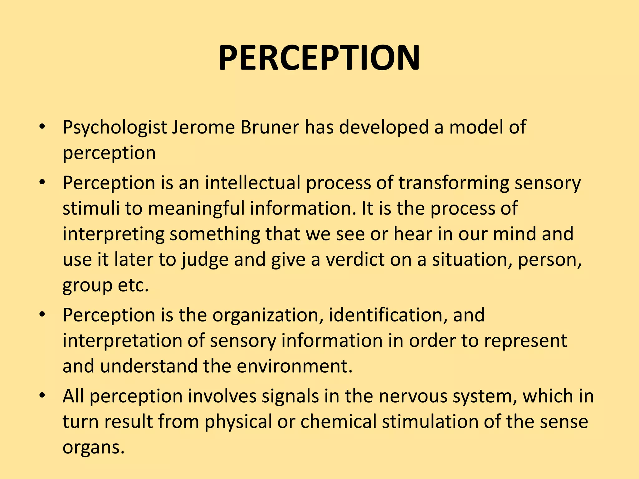 perception1-201231084232.pptx