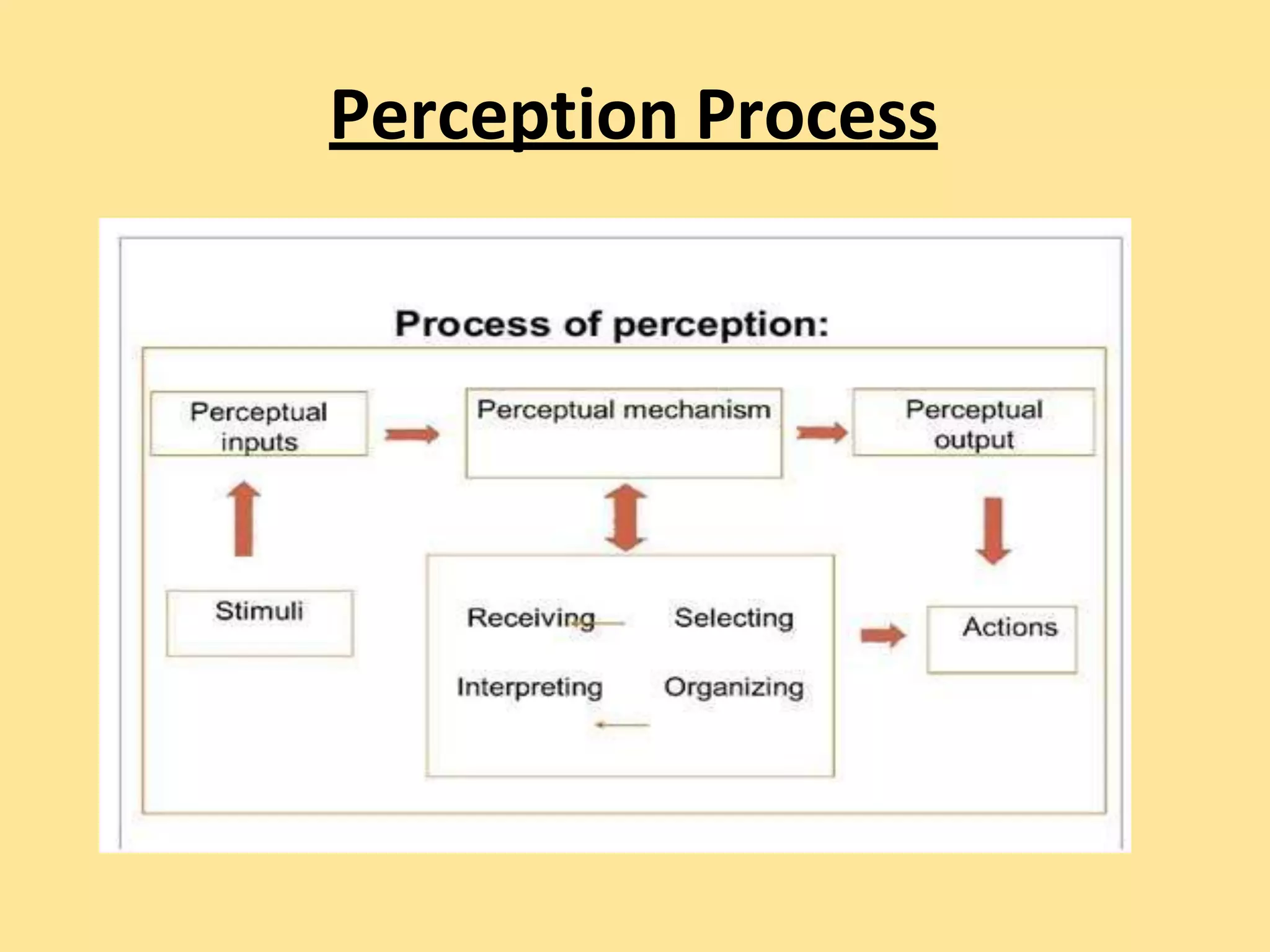 perception1-201231084232.pptx