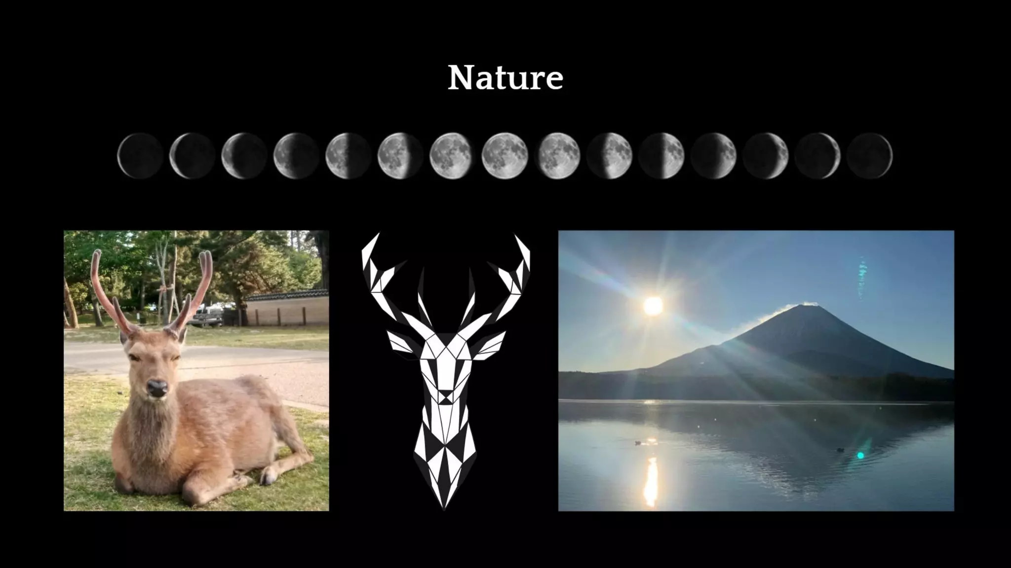 Perception | Gestalt's Law | Cognitive Psychology | PDF