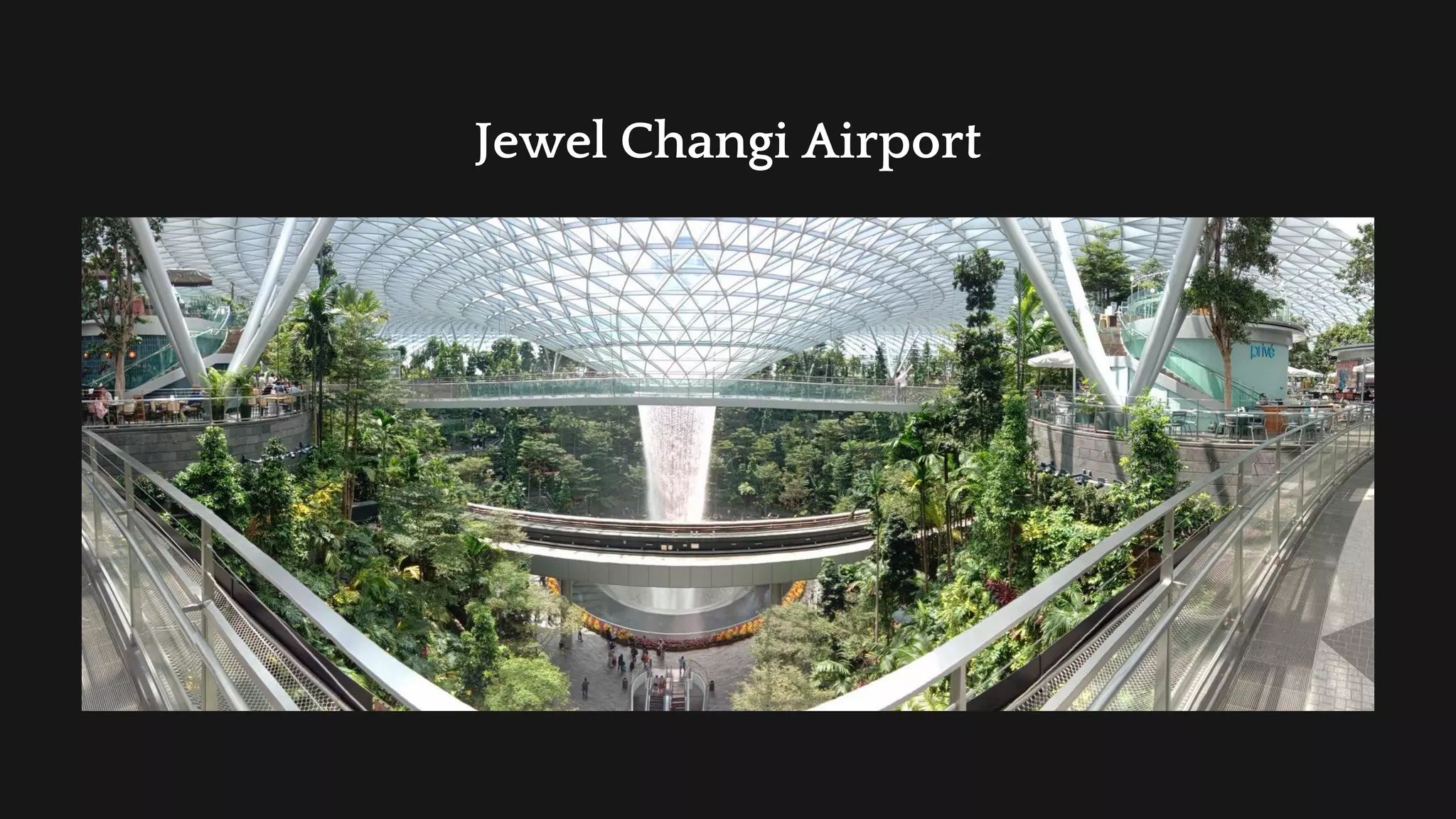 Perception | Gestalt's Law | Cognitive Psychology | PDF