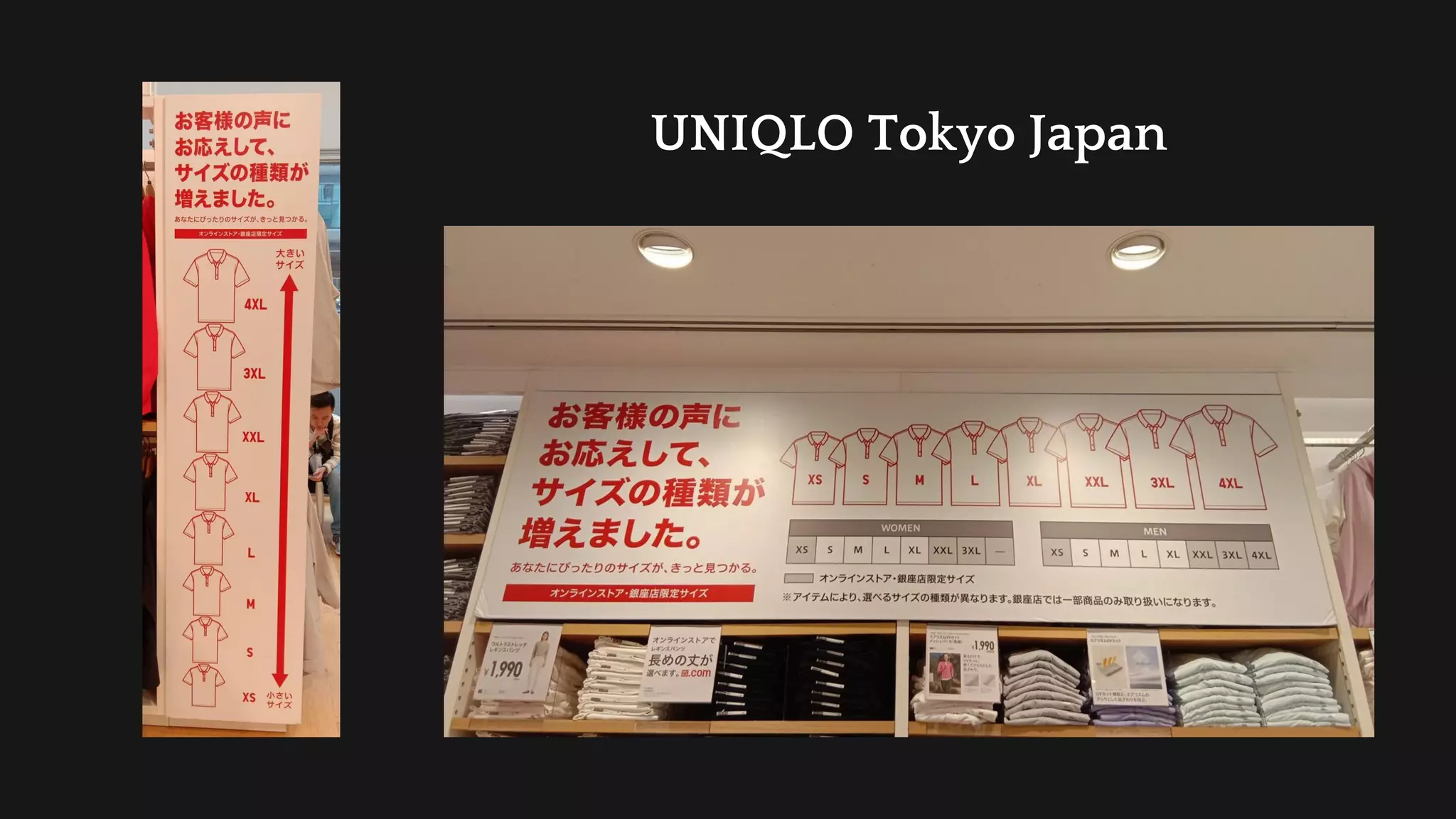 Perception | Gestalt's Law | Cognitive Psychology | PDF