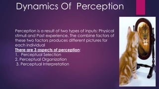 Dynamics of perception | PPTX