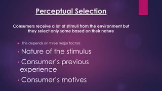Dynamics of perception | PPTX
