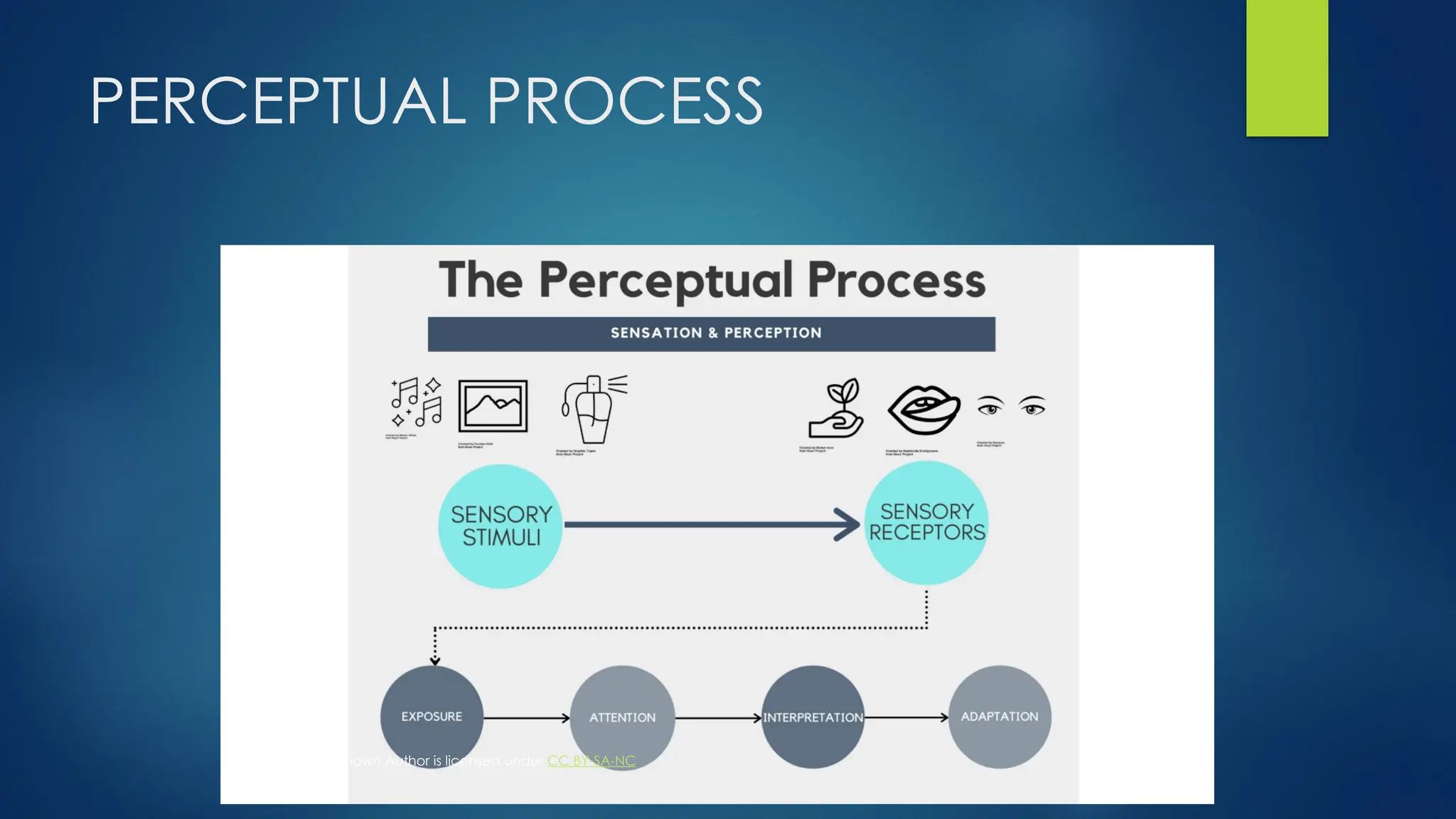 PERCEPTION 2.pptx organisational behaviour | PPTX | Artificial Intelligence | Technology & Computing