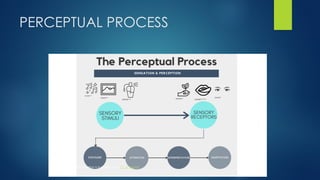 PERCEPTION 2.pptx organisational behaviour | PPTX | Artificial ...