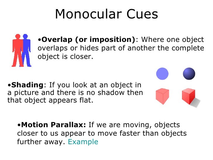 Linear Perspective Monocular Cues