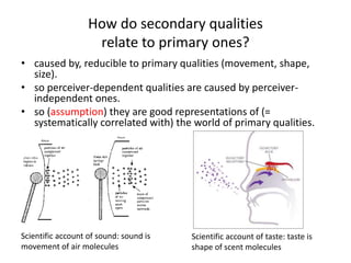 Perception 2016 revision 2. indirect realism part 2 | PPT