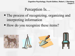 perception | PPT