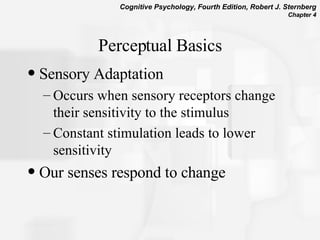 perception | PPT