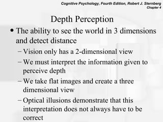 perception | PPT