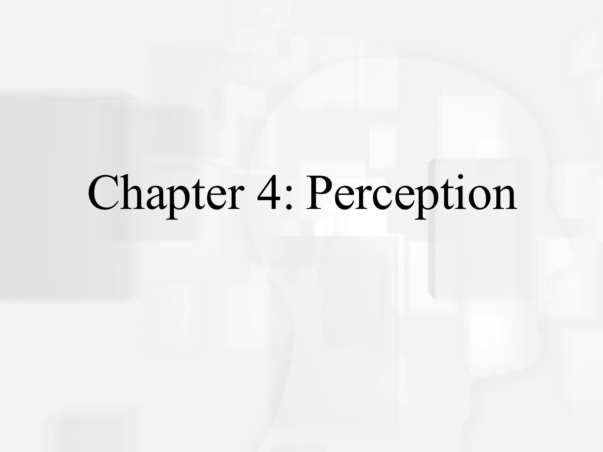 Perception | PPT