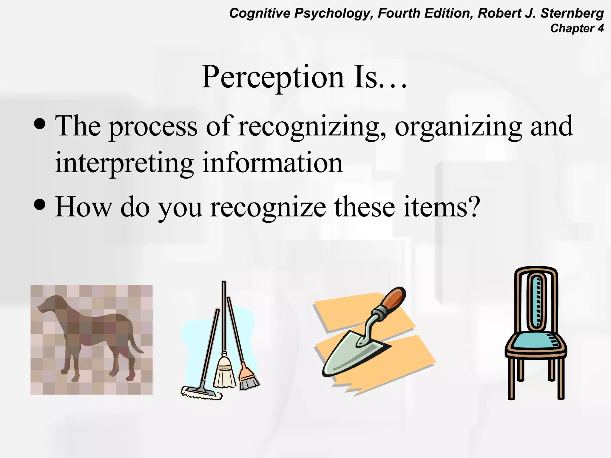 Perception | PPT