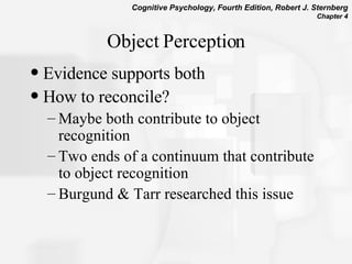 Perception | PPT