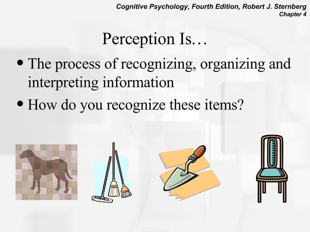 Perception | PPT