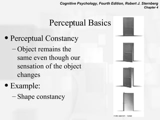 Perception | PPT