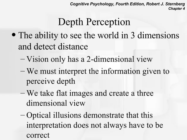 Perception | PPT