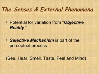 Perception 6 353[1] | PPT