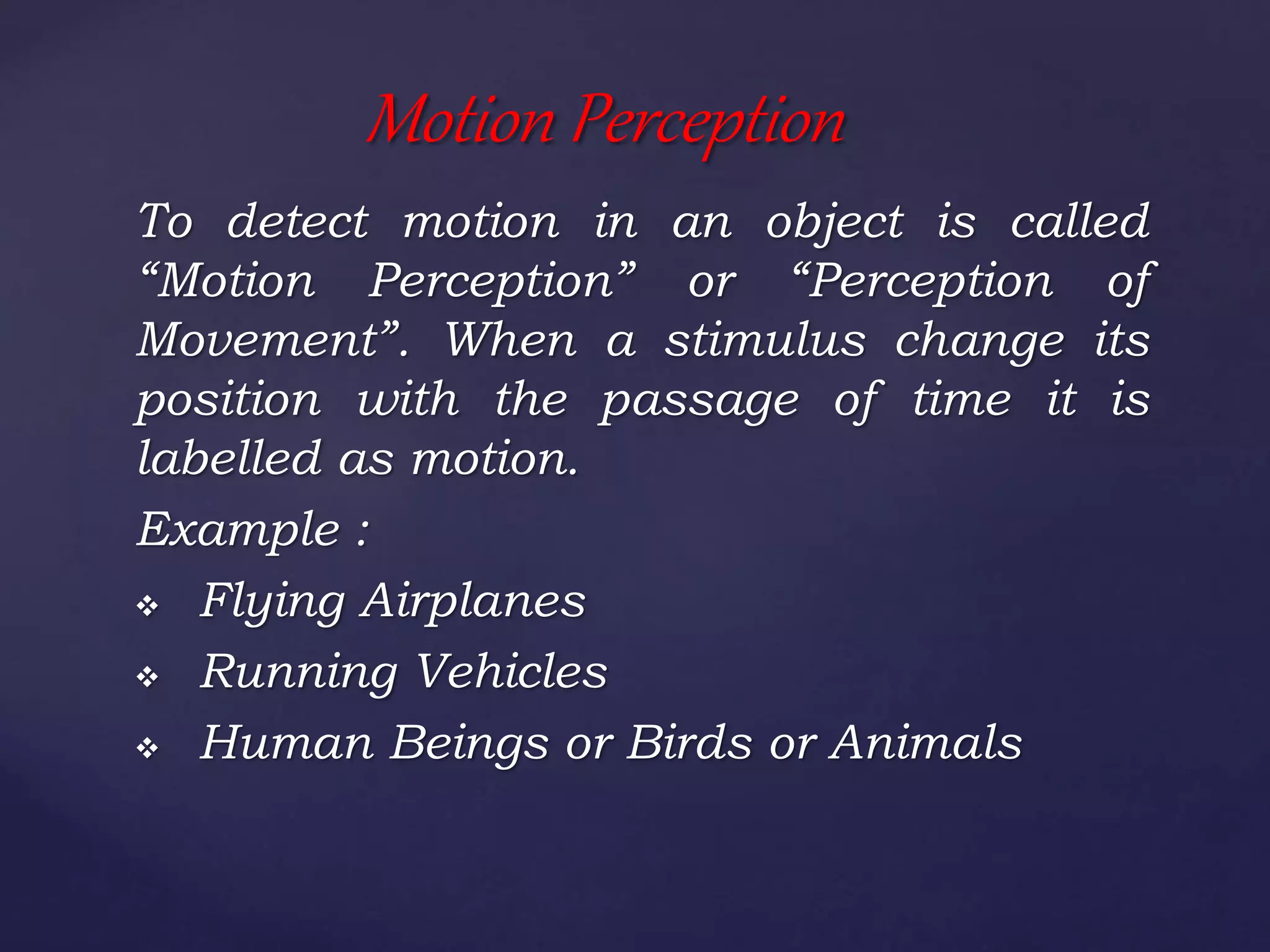 Perception and Attention | PPTX