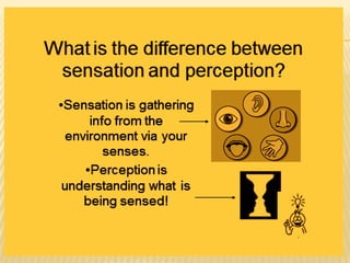 Perception and attribution1 | PPTX