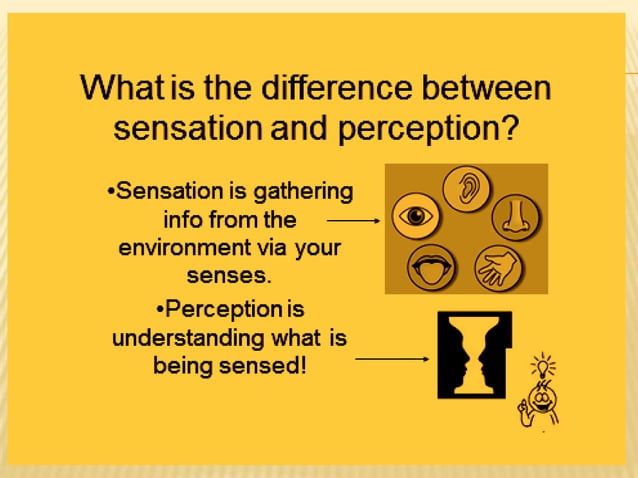 Perception and attribution1 | PPTX | Artificial Intelligence | Technology & Computing