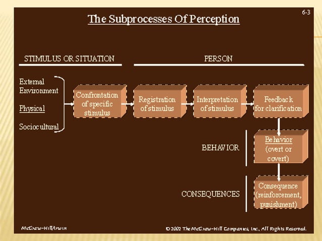 Perception and attribution1 | PPTX | Artificial Intelligence | Technology & Computing