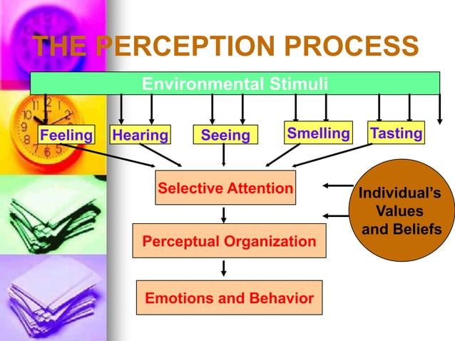 Perception And Conception 97 2003 Presentation | PPTX