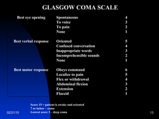 Perception And Coordination | PPT