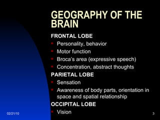 Perception And Coordination | PPT