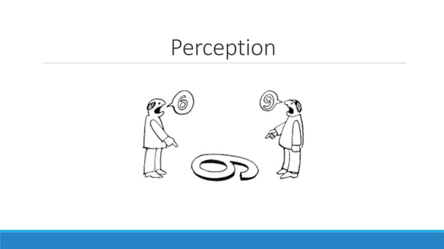 Perception and individual decision making | PPTX