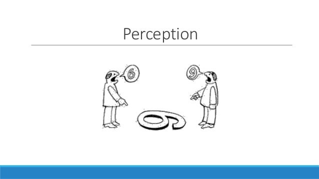 Perception and individual decision making