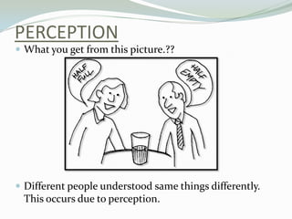 Perception and learning in Organization | PPTX