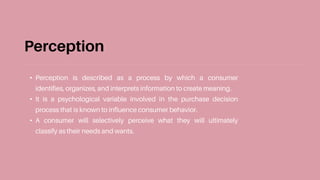 Consumer Behavior- Perception and Learning | PPTX