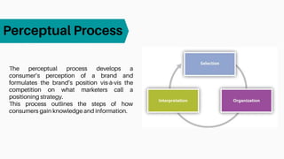 Consumer Behavior- Perception and Learning | PPTX