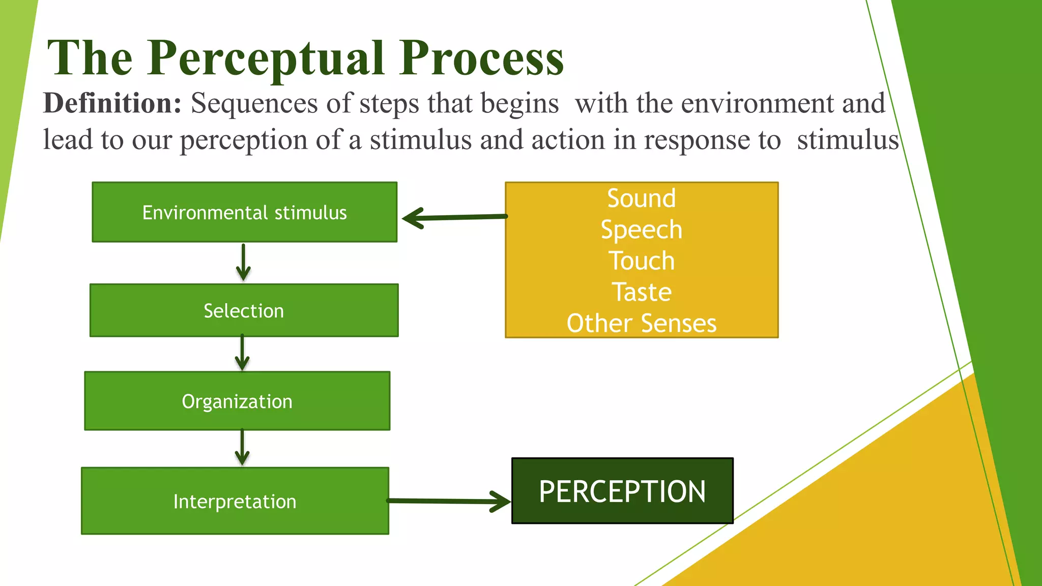 Perception and Learning in Organization Behavior | PPTX