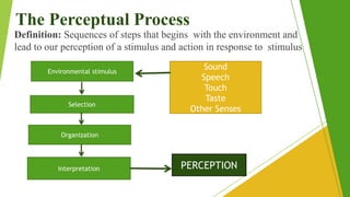 Perception and Learning in Organization Behavior | PPTX