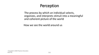 Perception and Marketing- Consumer Behavior | PPTX