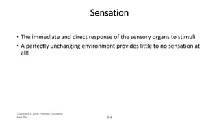 Perception and Marketing- Consumer Behavior | PPTX