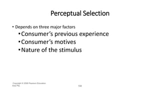 Perception and Marketing- Consumer Behavior | PPTX