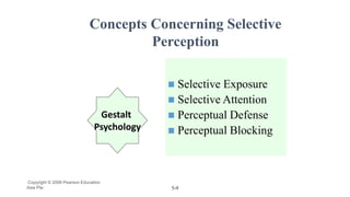 Perception and Marketing- Consumer Behavior | PPTX