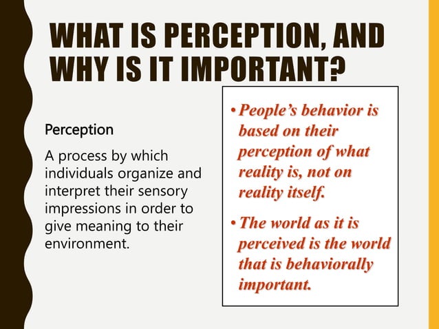 Perception and Motivation.ppt