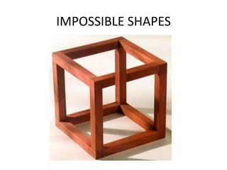 Perception and optical illusions | PPTX