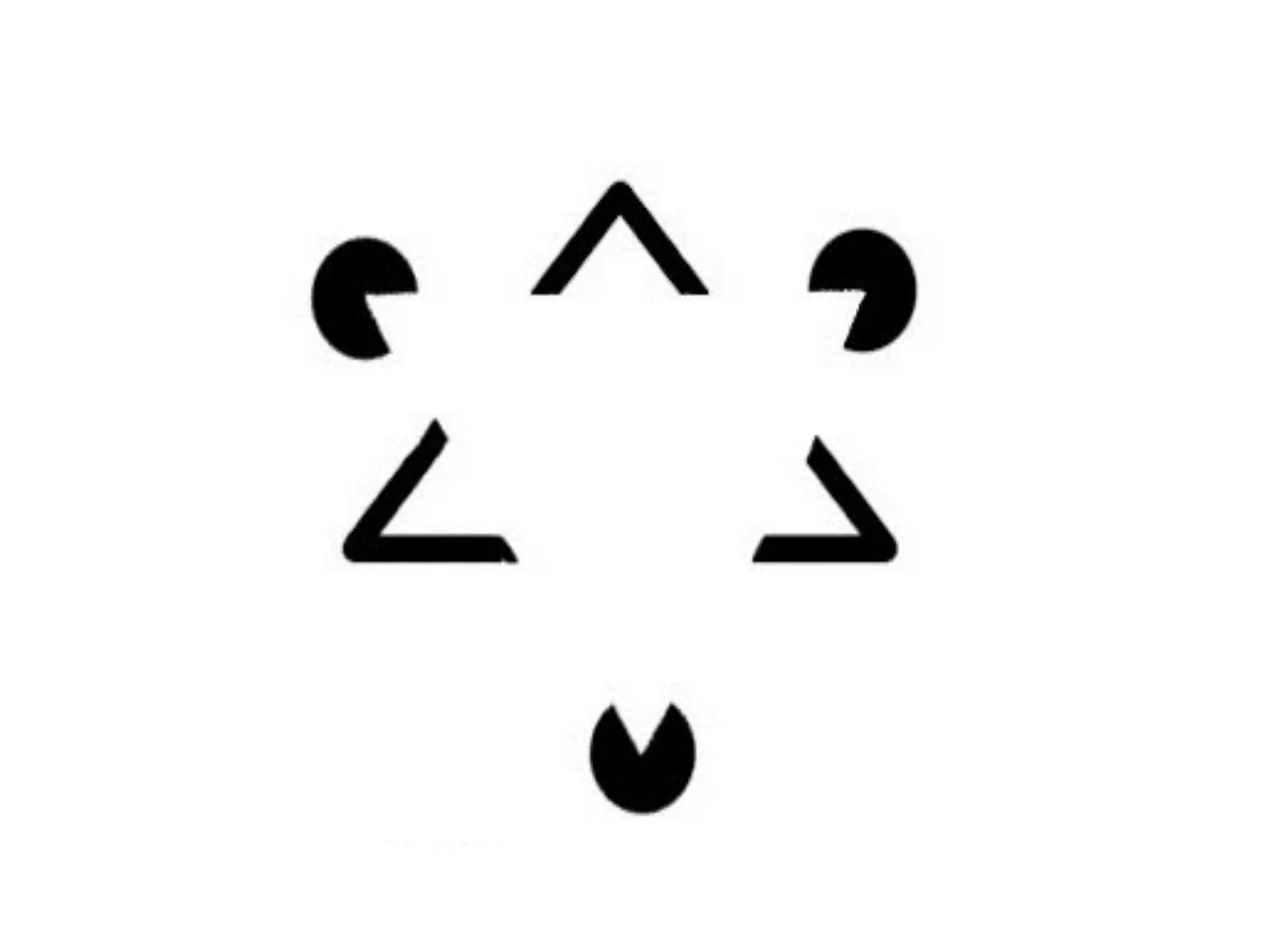 · Perception and the Perceptual Process 2023.pdf