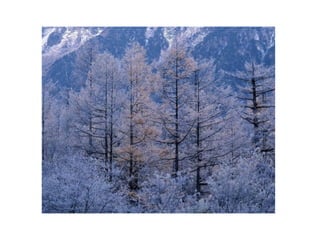 · Perception and the Perceptual Process 2023.pdf