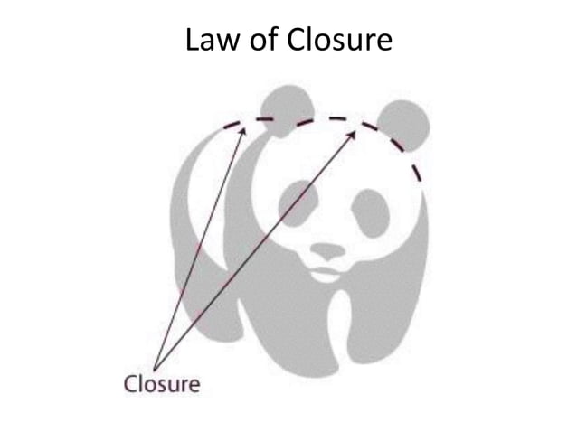 · Perception and the Perceptual Process 2023.pdf