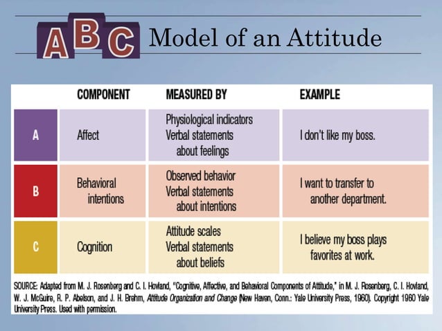 Perception attitude and personality | PPTX | Science